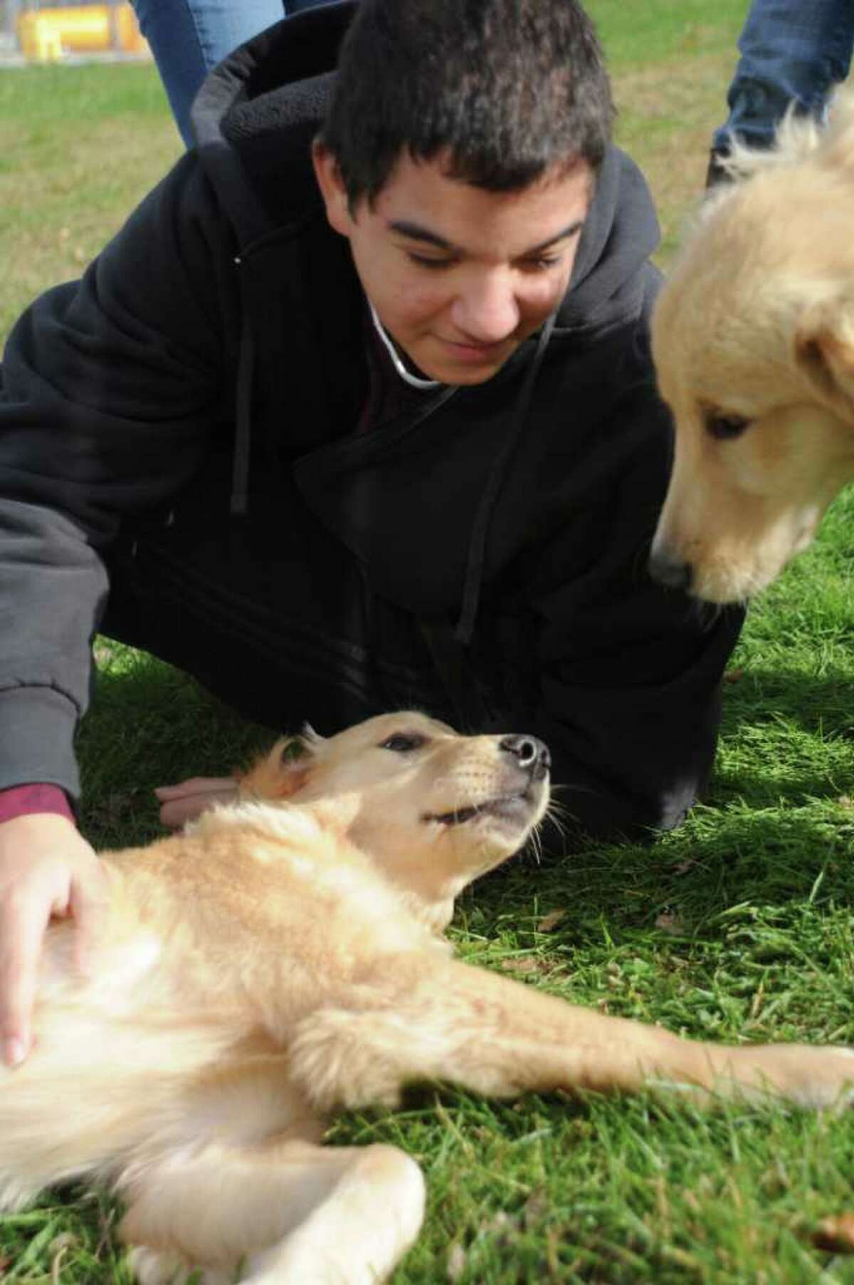 Warriors' wounded psyches healed by service dogs