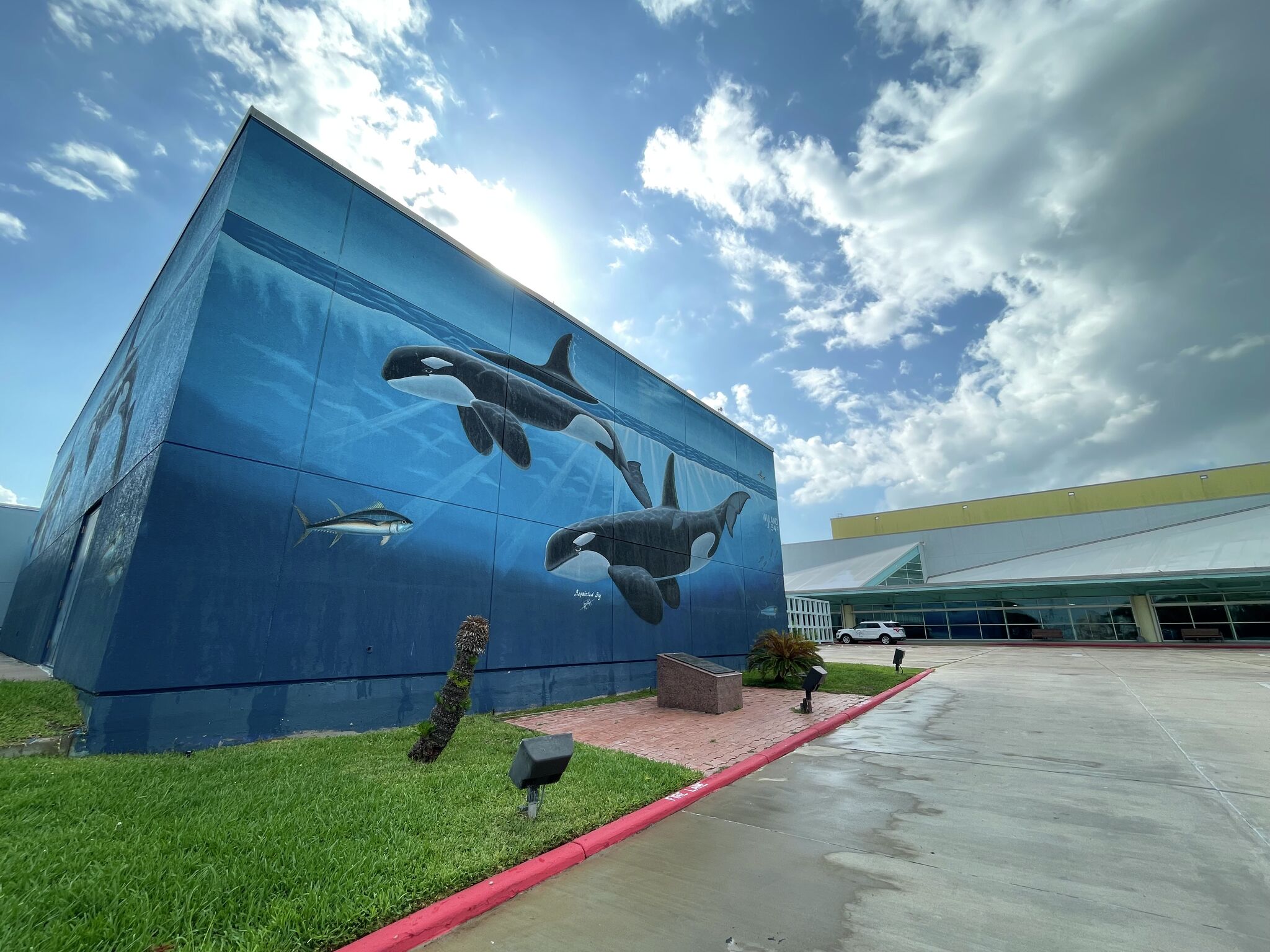 Morgan's Wonderland: All to know about the unique theme park