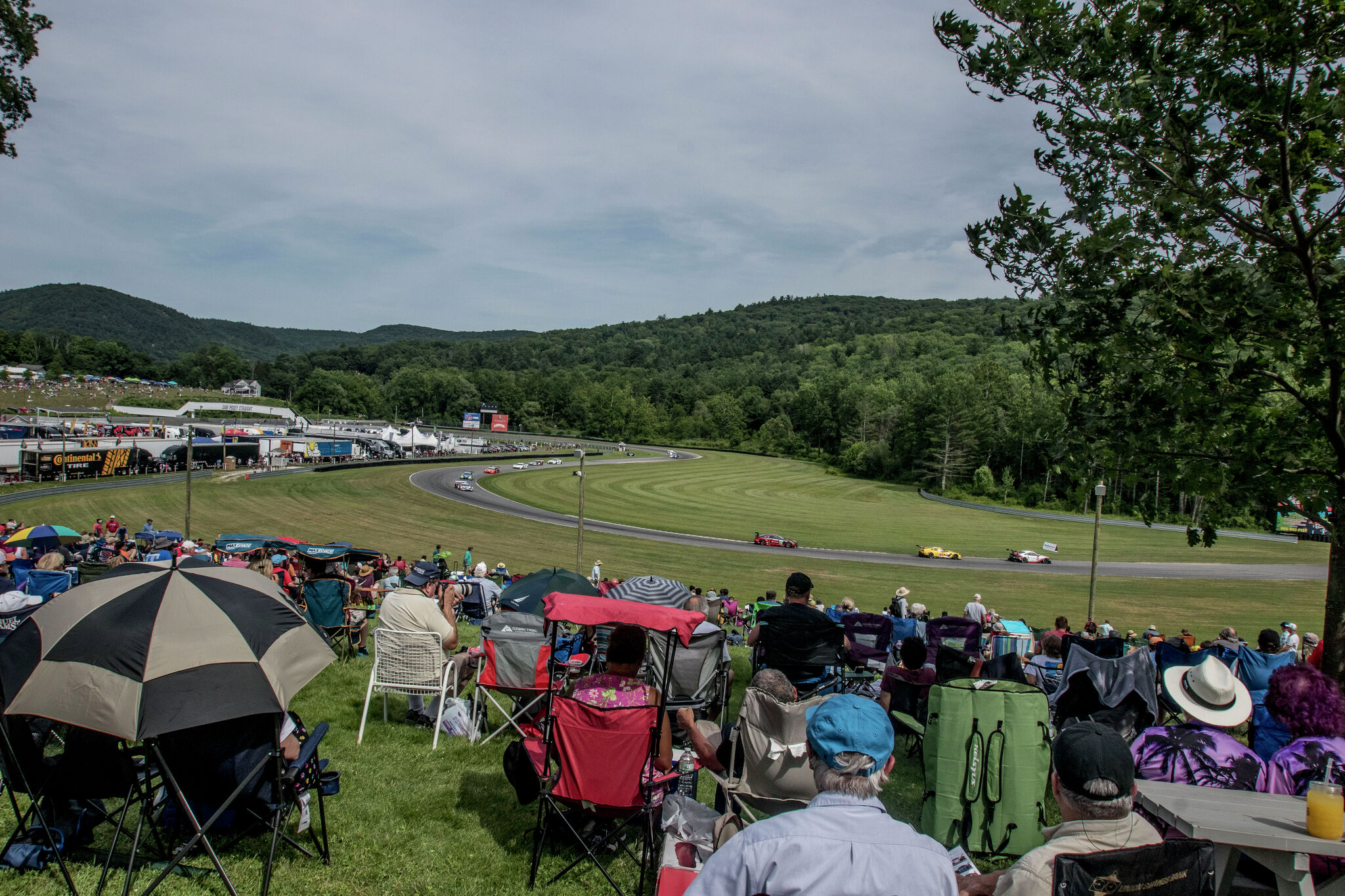 Tariff anxiety produces huge SunnyD, Juicy Juice payoff for CT maker