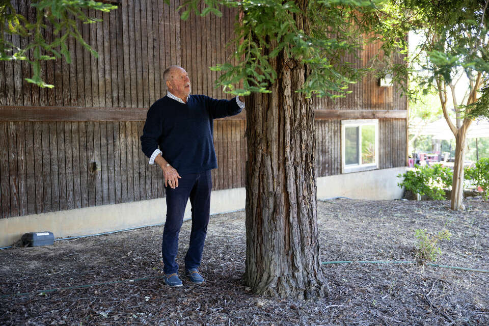 Winemaker Ken Wilson: Aging like a fine Cabernet
