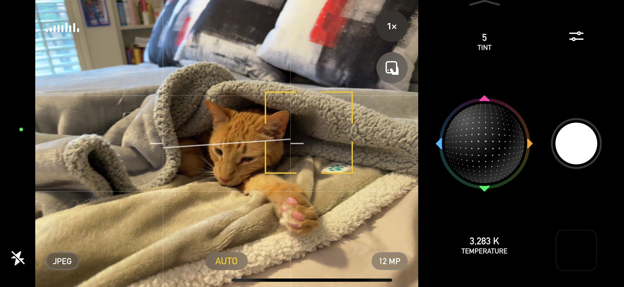 iPhone camera apps add AI features, fun options beyond Apple’s update