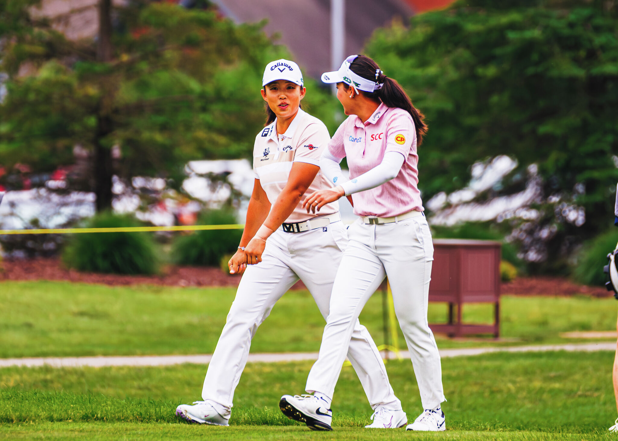 Seadrift, Texas is site of Dow's small modular reactor nuclear project