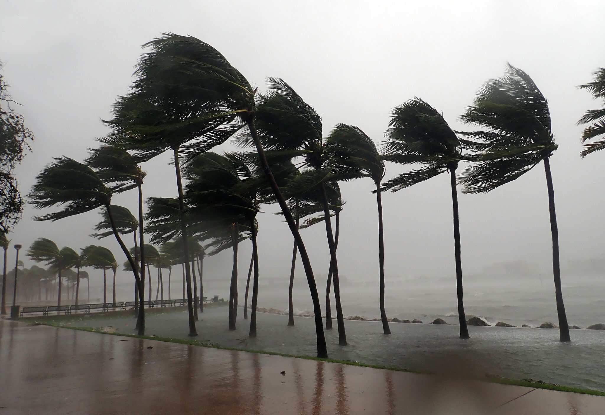 Tropical outlook: Possible Gulf development and Texas rain chances