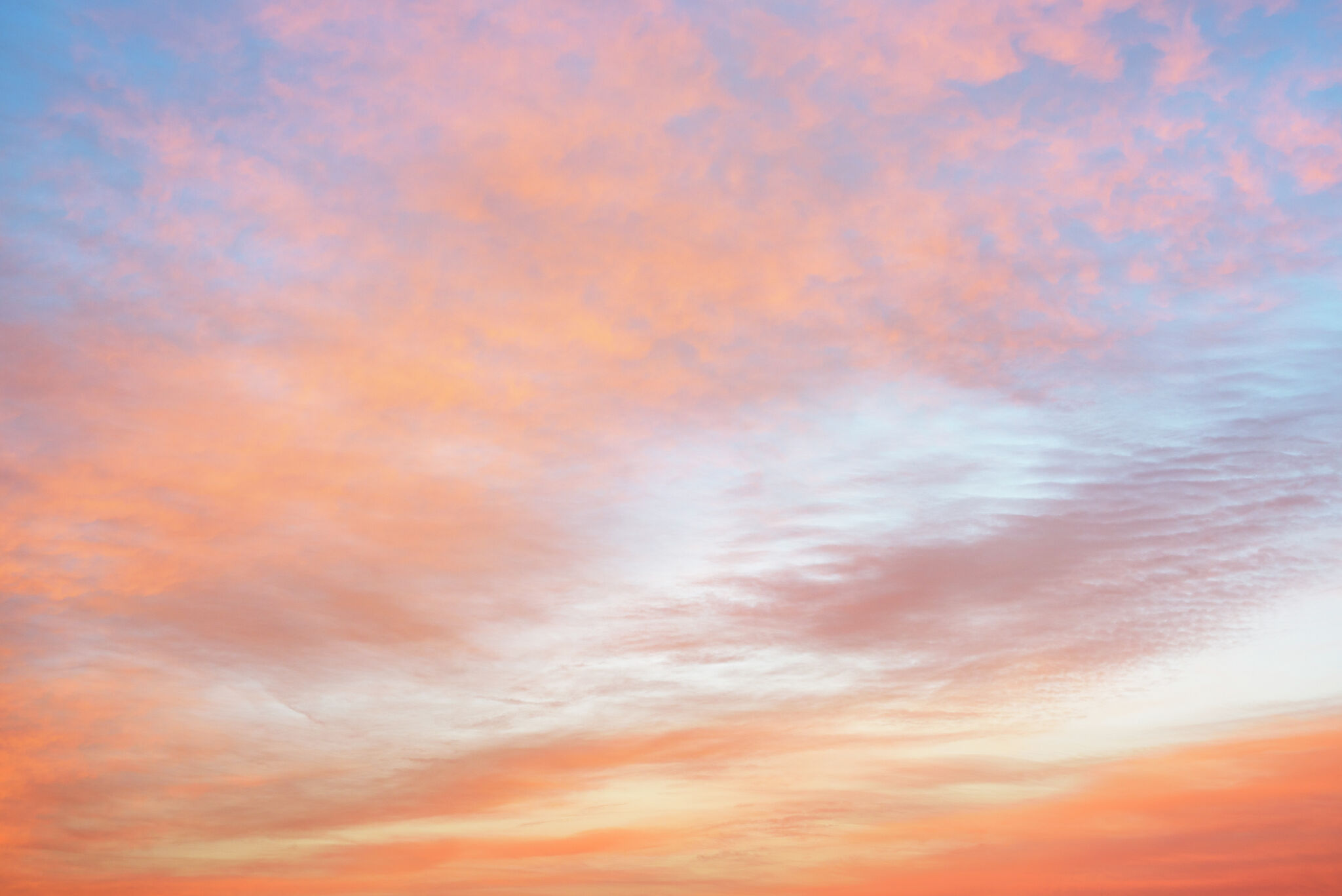 Horoscope for Wednesday, 7/2/25 by Georgia Nicols