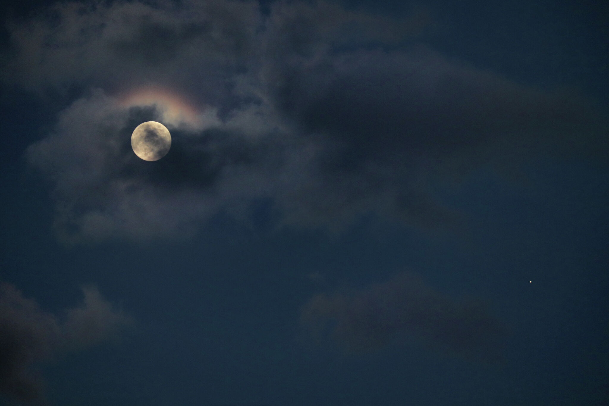 Fair Haven Oyster Co. is a seafood sensation from Chef of the Year ...