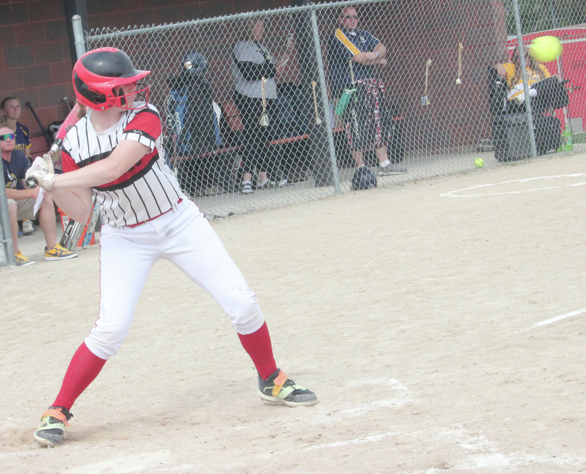 Reed City softball eyes bright future