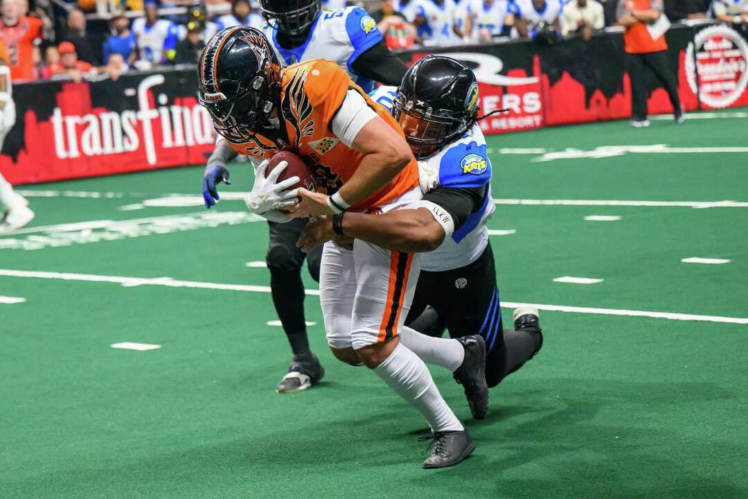 Albany Firebirds cap undefeated season with Arena Football One title
