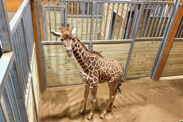 New Austin club Superstition faces backlash for dress code