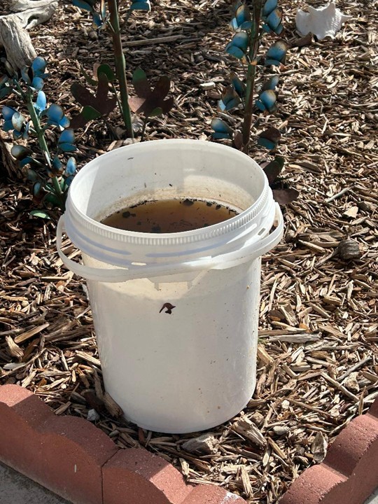 Actor Royce Applegate Found Dead