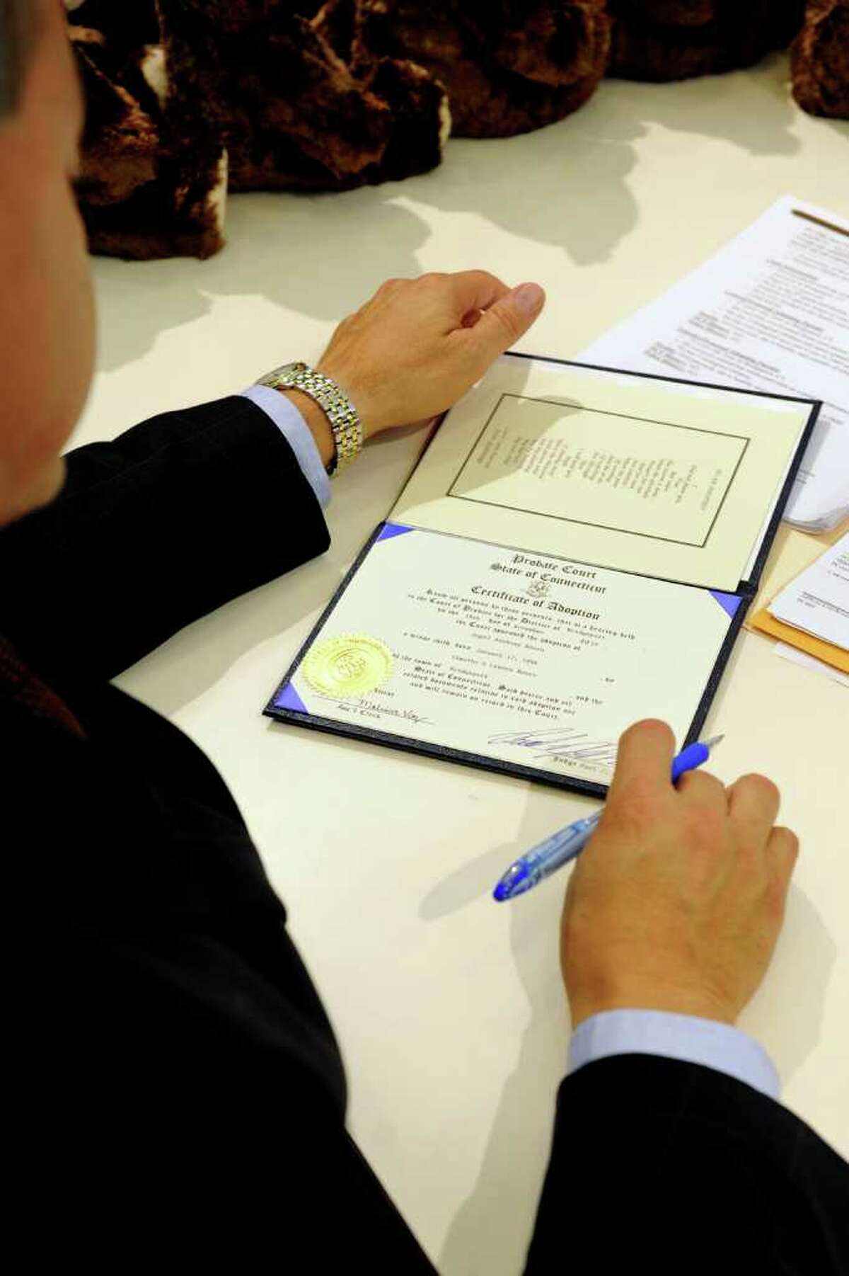 Newly adopted, Angel stars in probate court