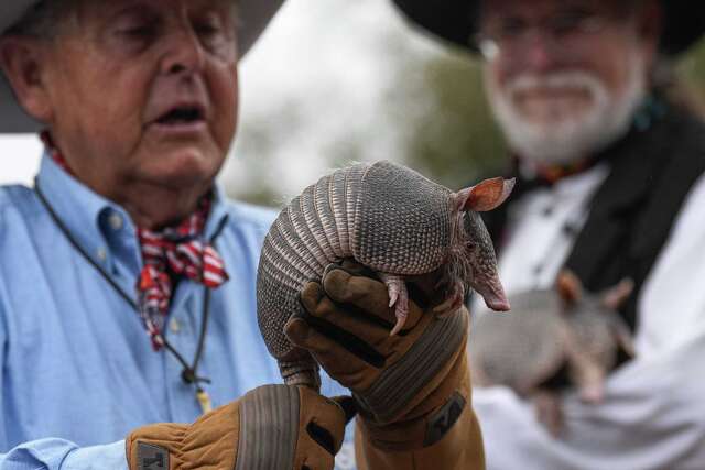 Take that, Hairy Yankee Rat! Bee Cave Bob made his annual Groundhog Day ...