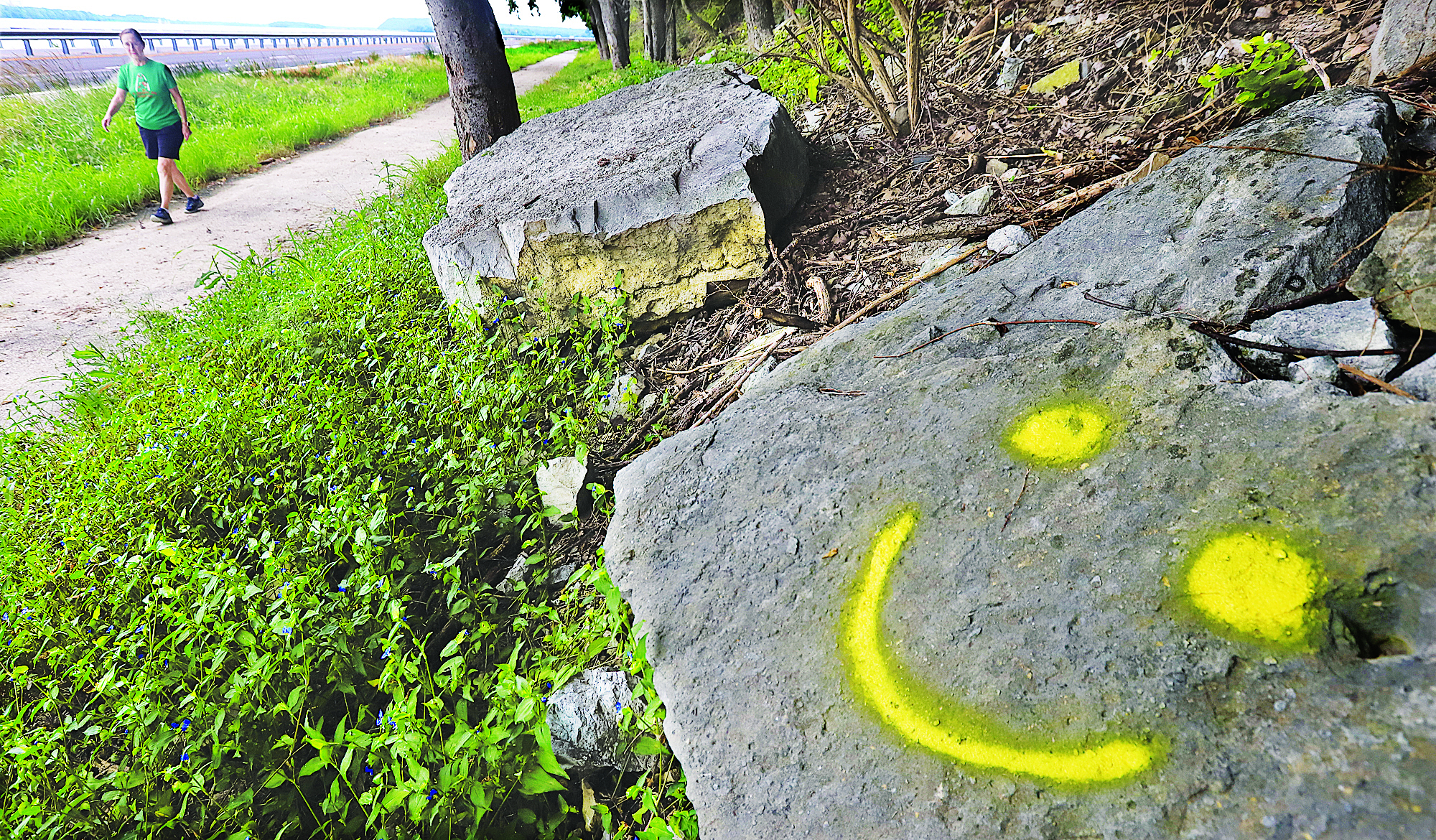 Smiley face graffiti spotted on Godfrey bike trail rock