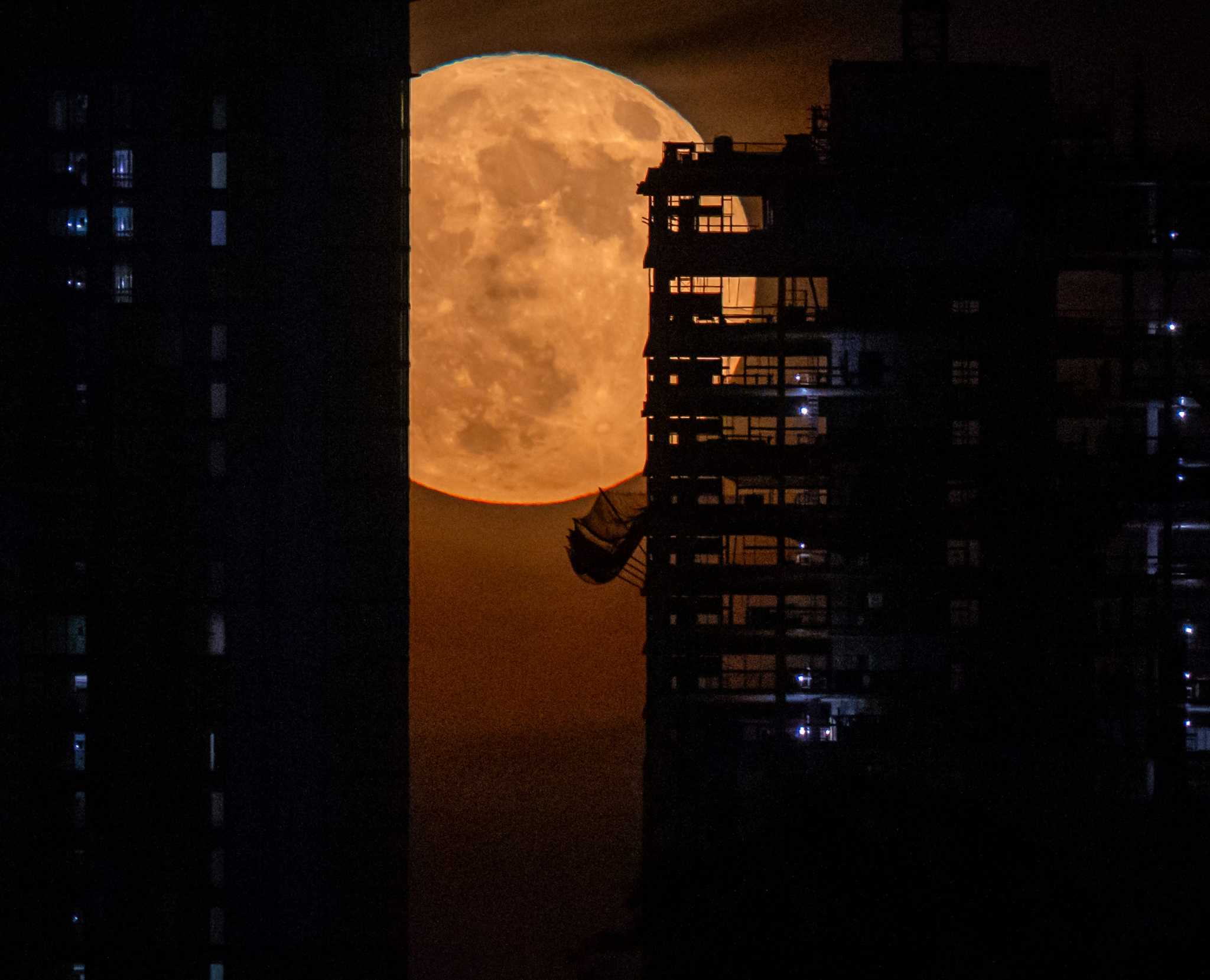Rare super blue moon lit up the sky in Texas: See photos, videos