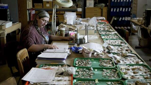 Earliest Indigenous humans arrived 20,000 years ago in Austin