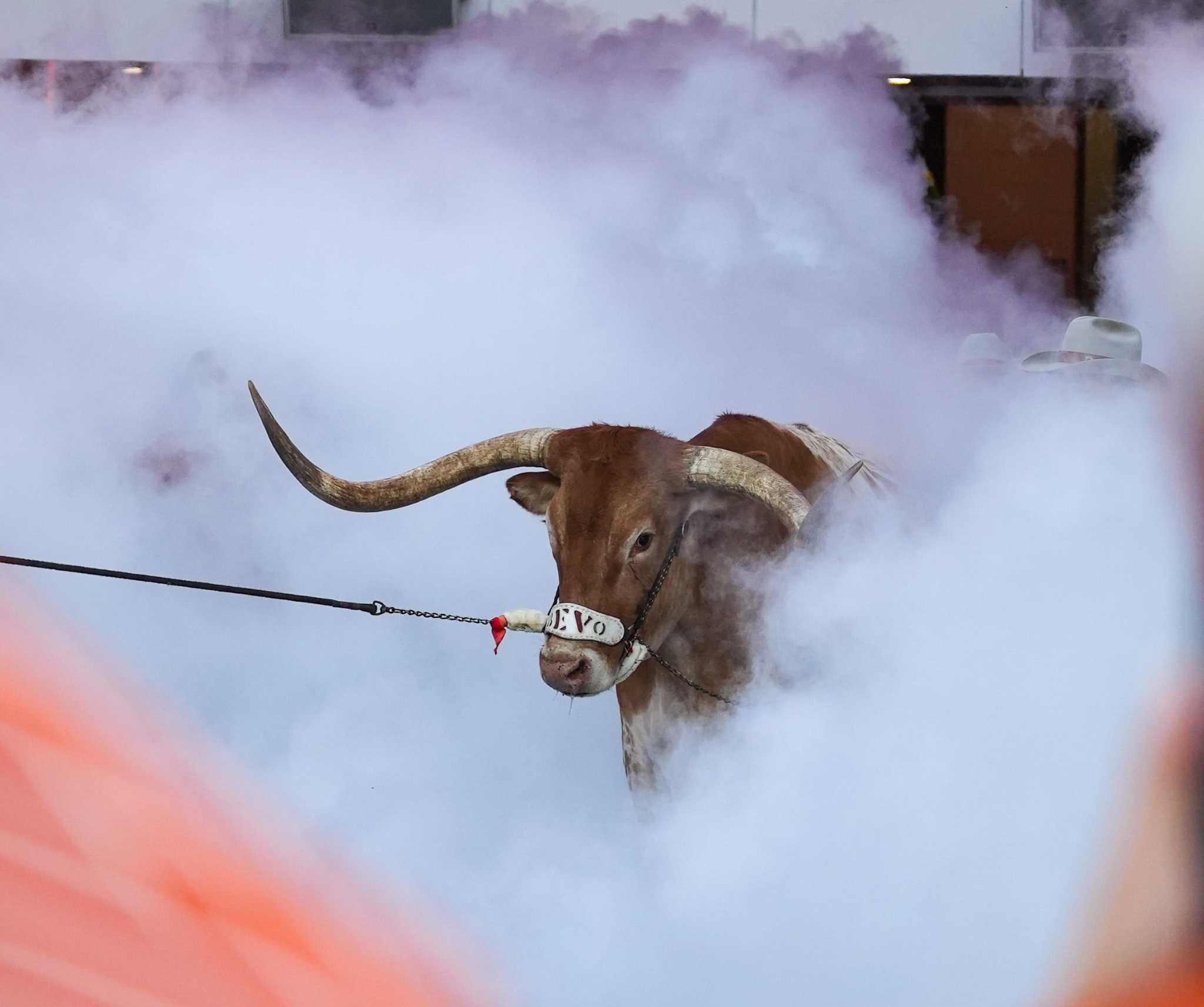 Texas self-reports NCAA violations related to sports wagering amid new ...