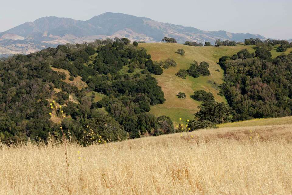 California fire weather: These areas face high risk due to wind