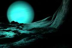 Details emerge on the world-record alligator gar caught at Sam Rayburn