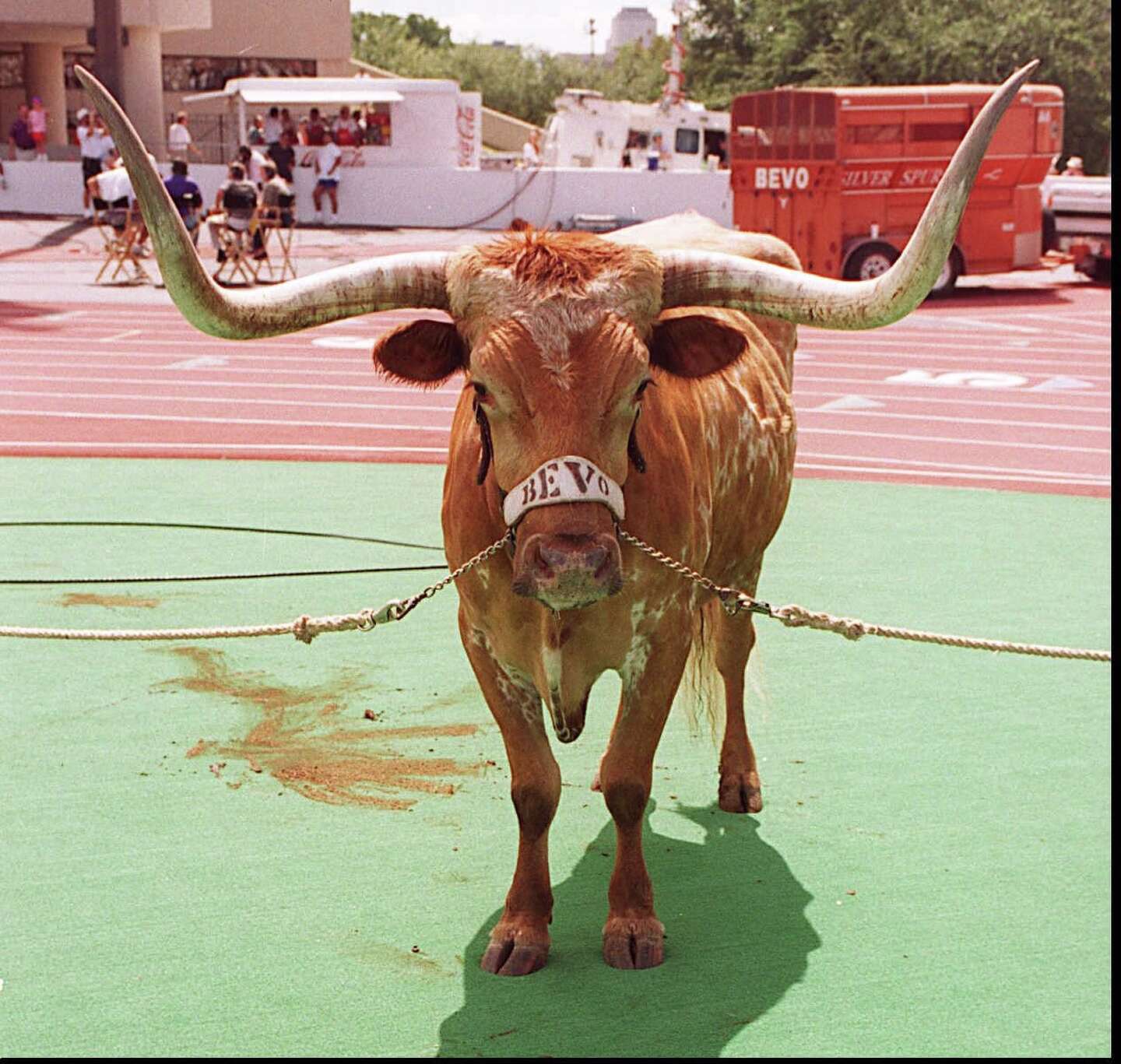 5 things to know about Bob Bowman, Texas' new swimming coach