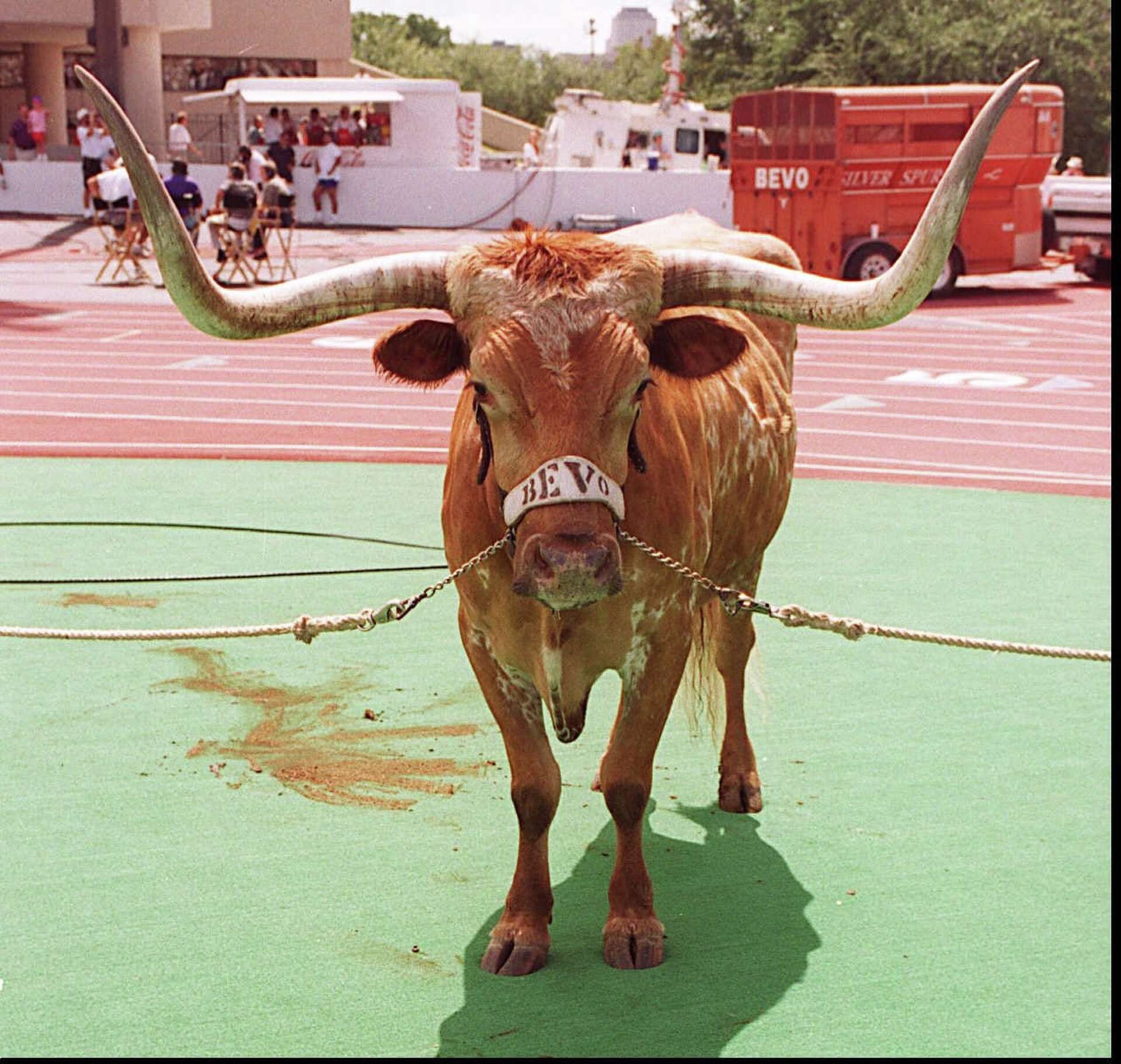 5 things to know about Bob Bowman, Texas' new swimming coach