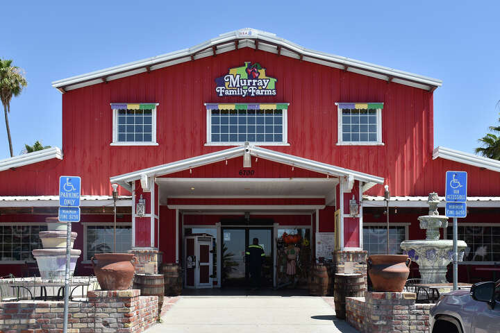 Unlikely California family farm becomes an international destination