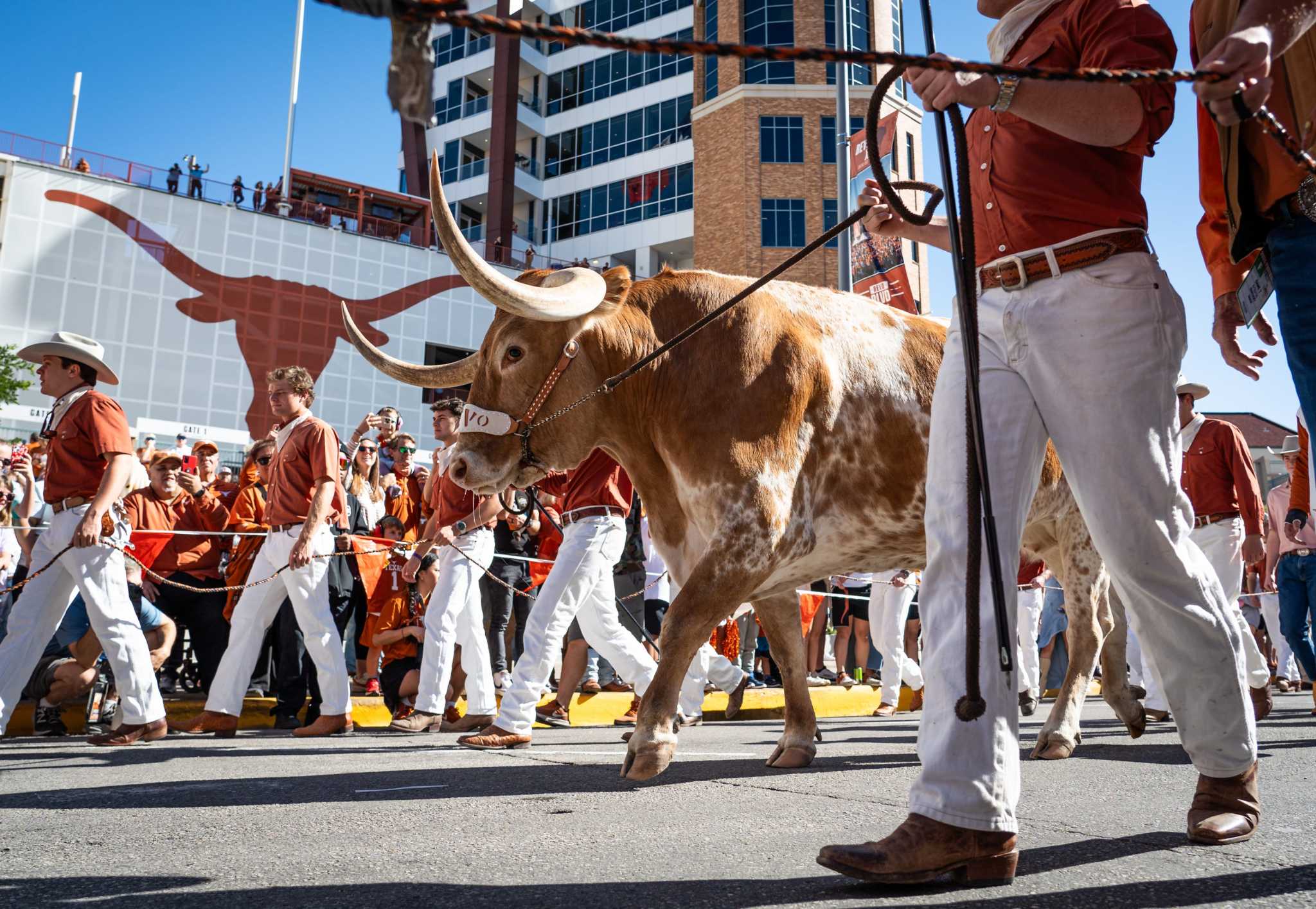 Uga won't have to fear Bevo at SEC Championship Game as Texas mascot ...