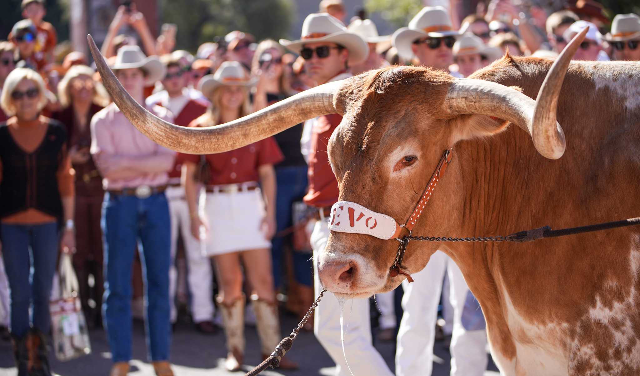 Cotton Bowl: Can Bevo attend Texas vs Ohio State CFP semifinals