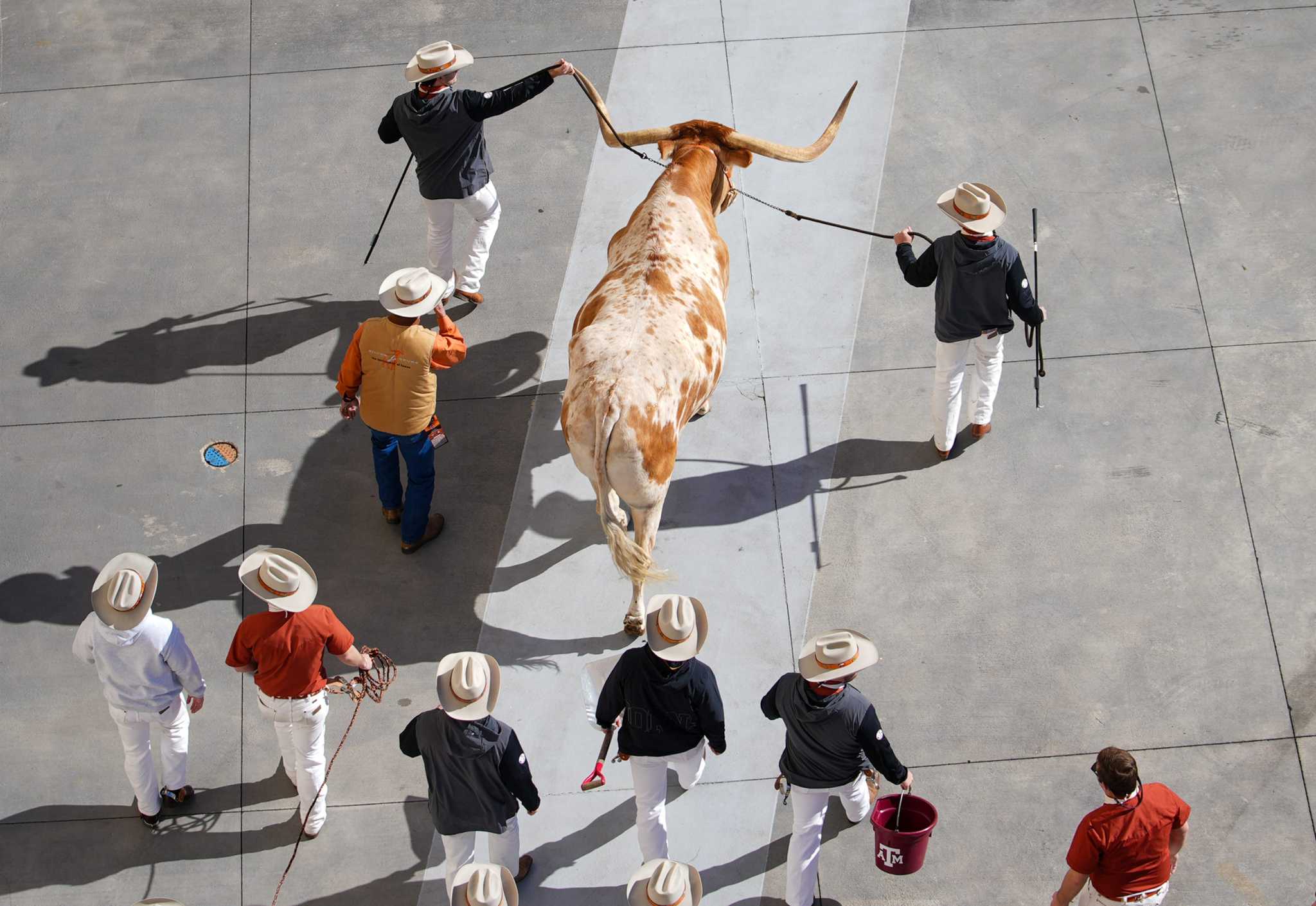 Texas football fans gather at DKR for Clemson game: Best photos