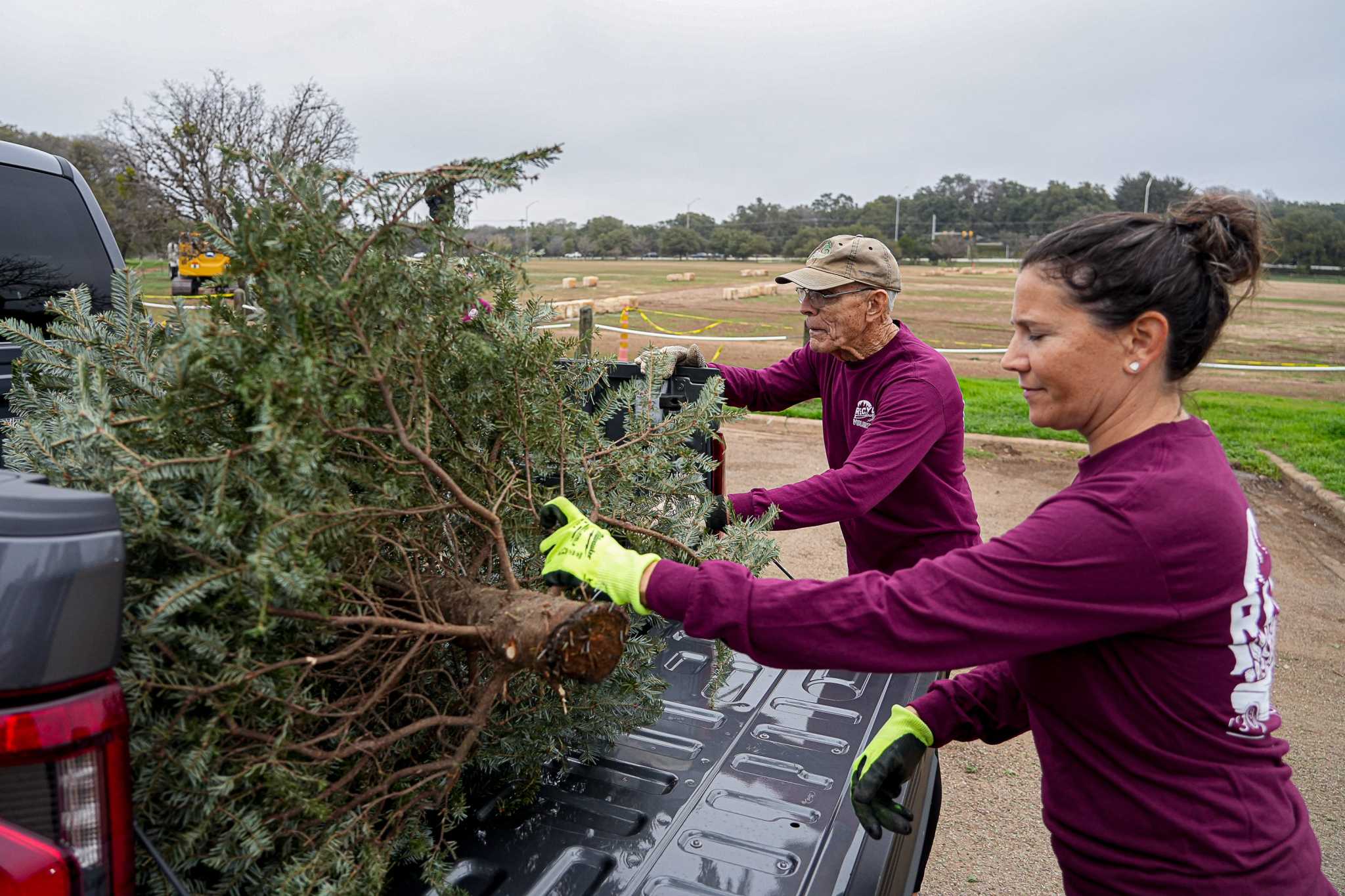 Volunteers collect trees at Holiday Tree Recycling event at Zilker Park