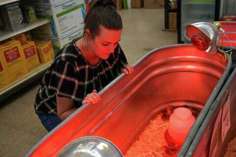 Austin's Callahan's General Store has survived because loyal customers