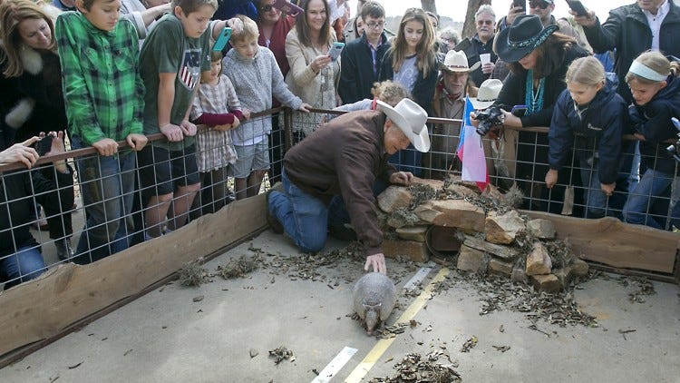 PHOTOS: Benevolent Knights of the Raccoon present Bee Cave Bob, the ...