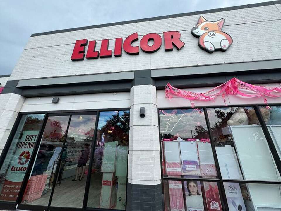 Austin Labubu fans flock to new toy store ElliCor