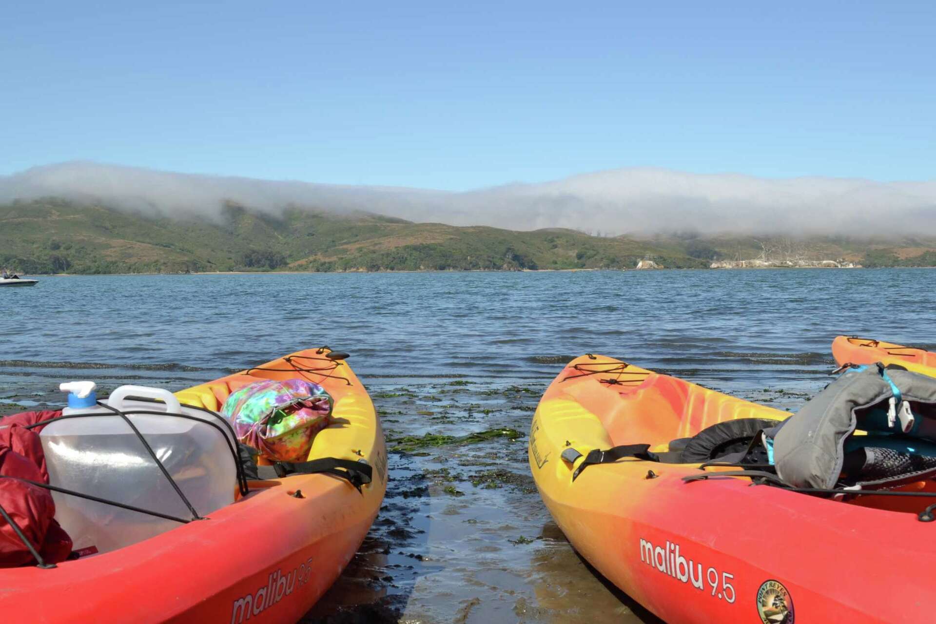 This perfect Bay Area beach campsite is accessible only by kayak