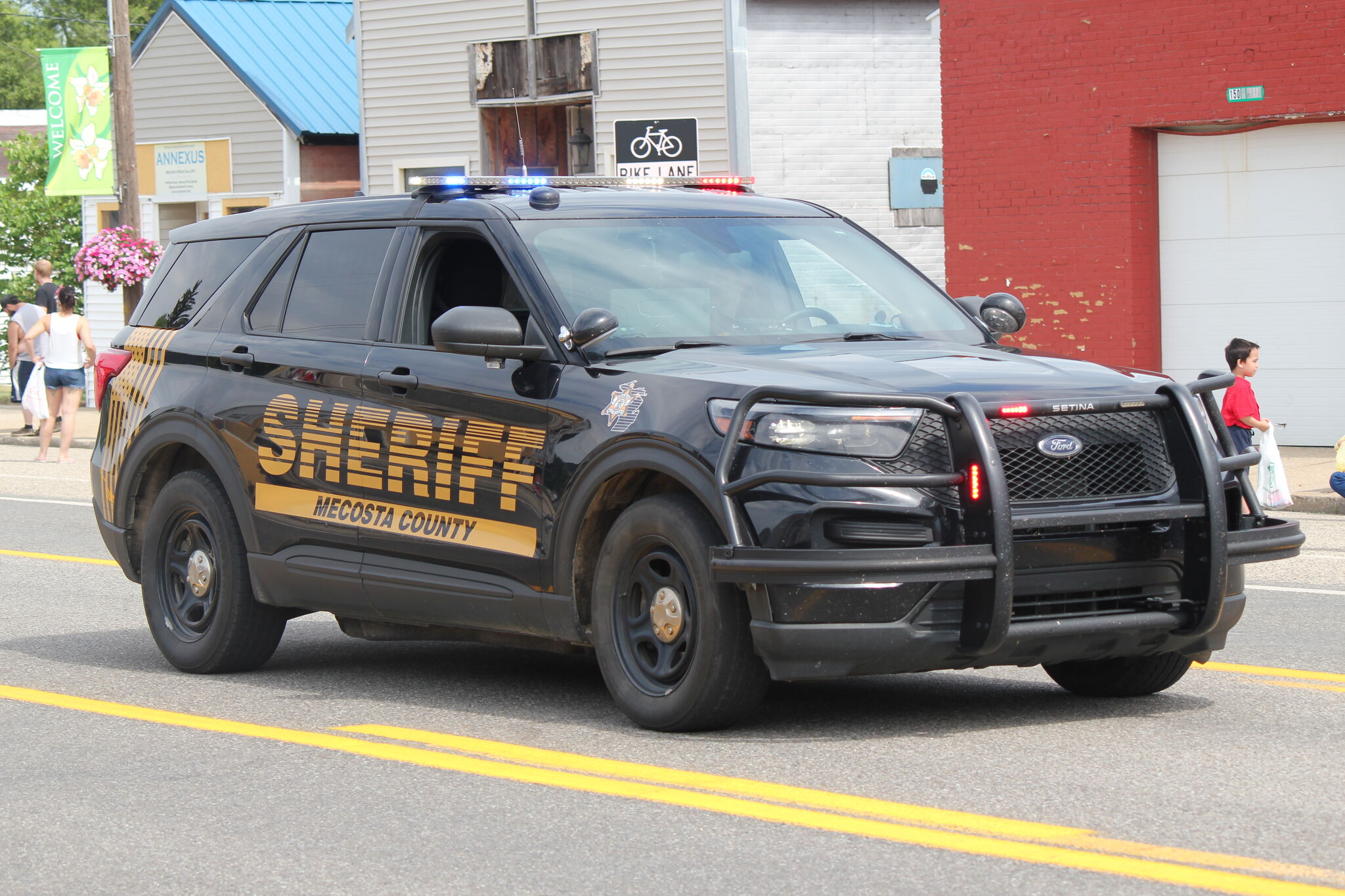 Car-deer crash injures woman in Mecosta County Michigan