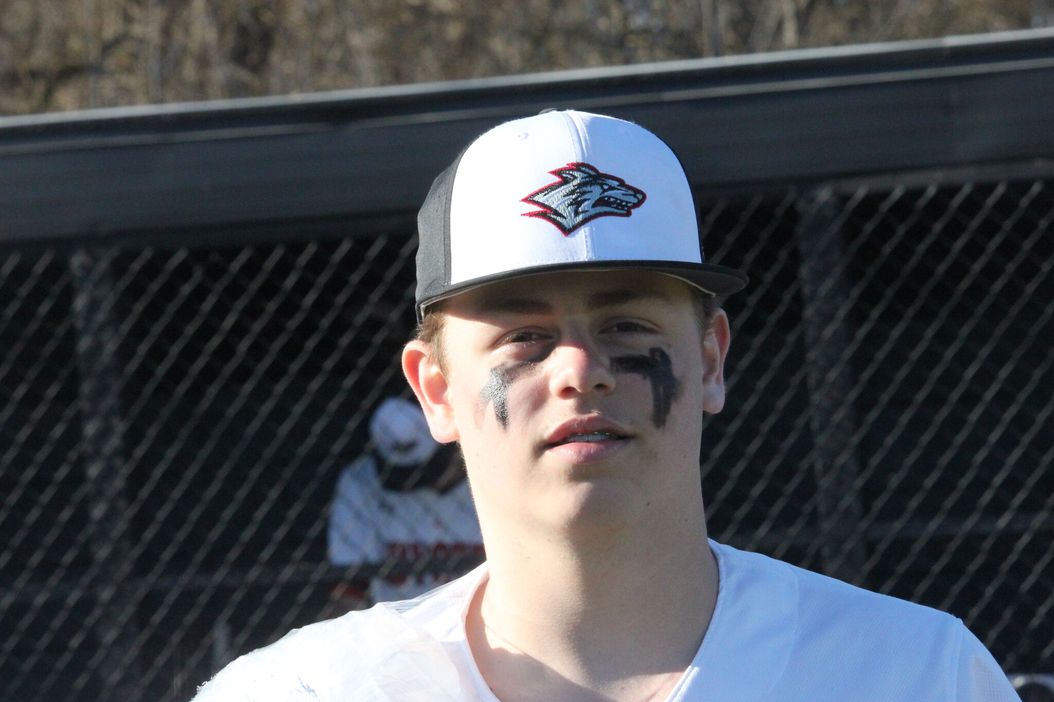 Reed City baseball player having unique summer season