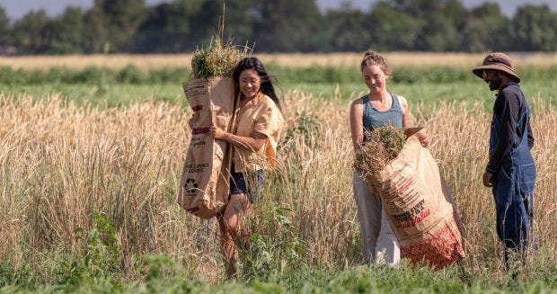What makes a food system equitable? Find out at a panel, workshop this week