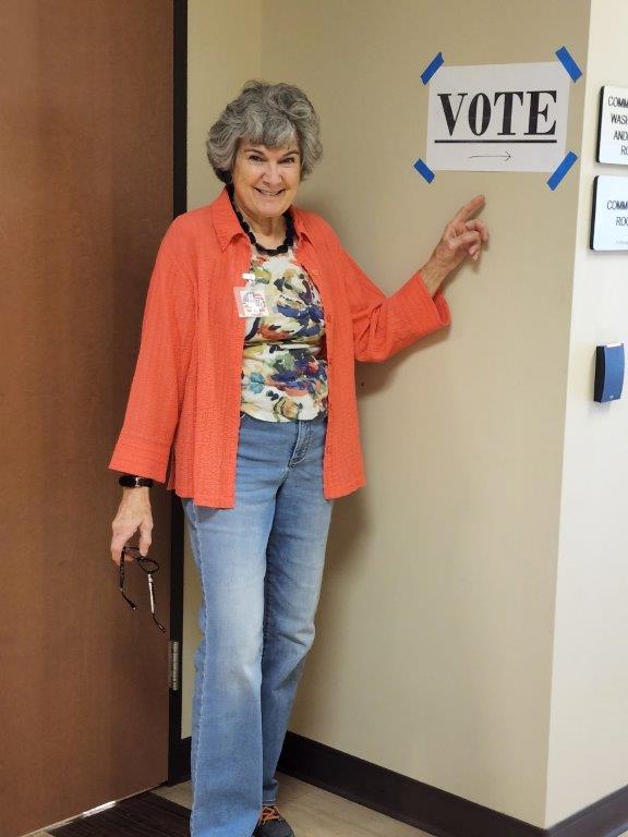 Williamson Commissioner Terry Cook: Why aren’t Texans voting?