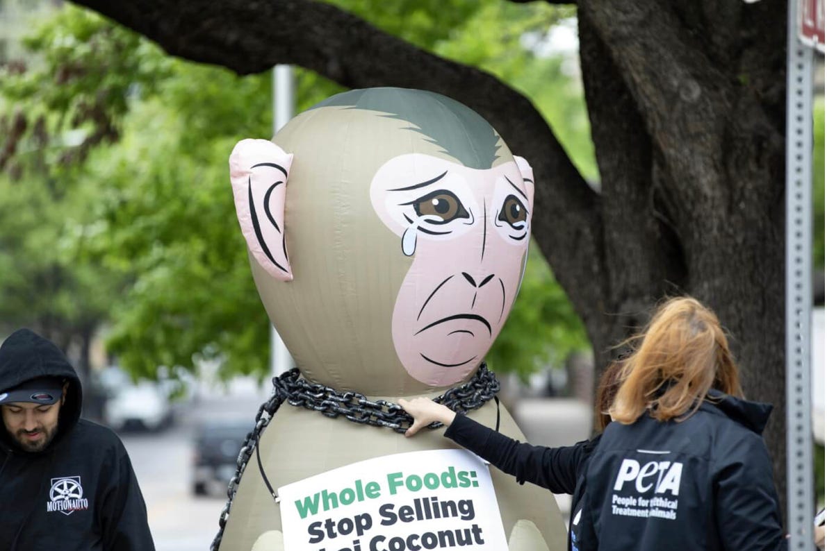 Whole Foods says it's not selling coconut milk made with monkey labor