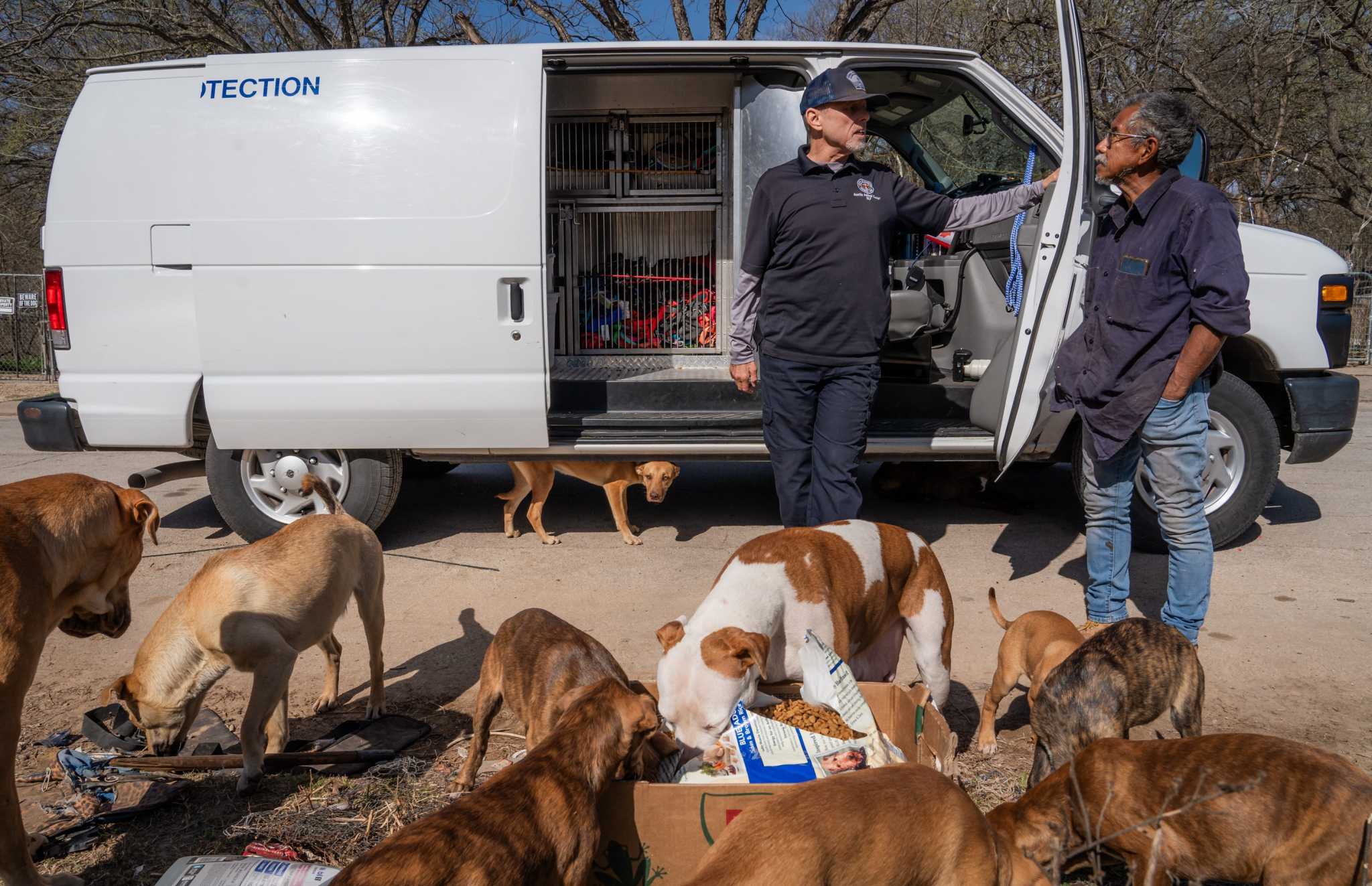 'It's the right thing to do': Austin man takes care of homeless animals ...