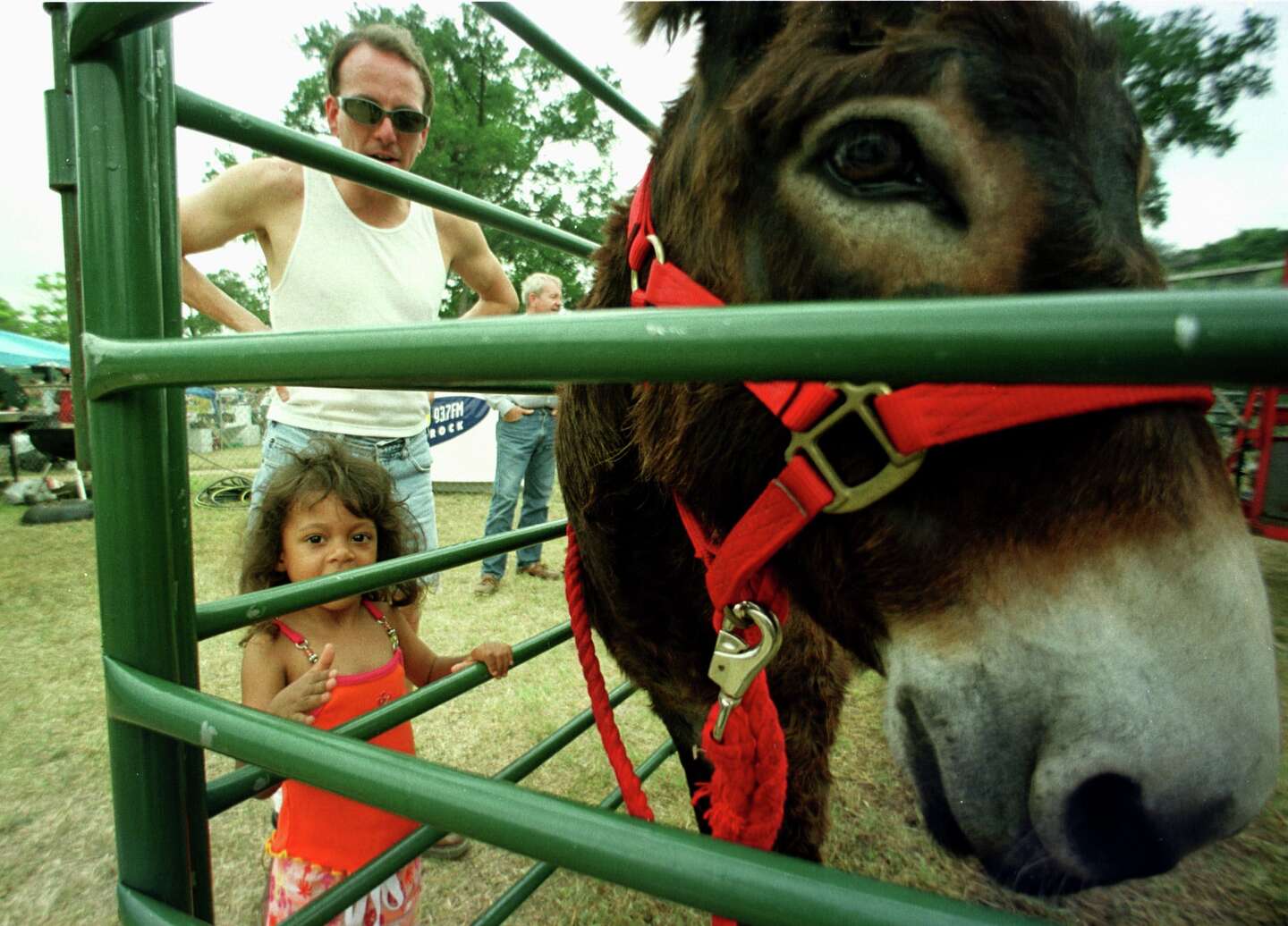 Eeyore's Birthday Party in Austin: What to know for 60th celebration