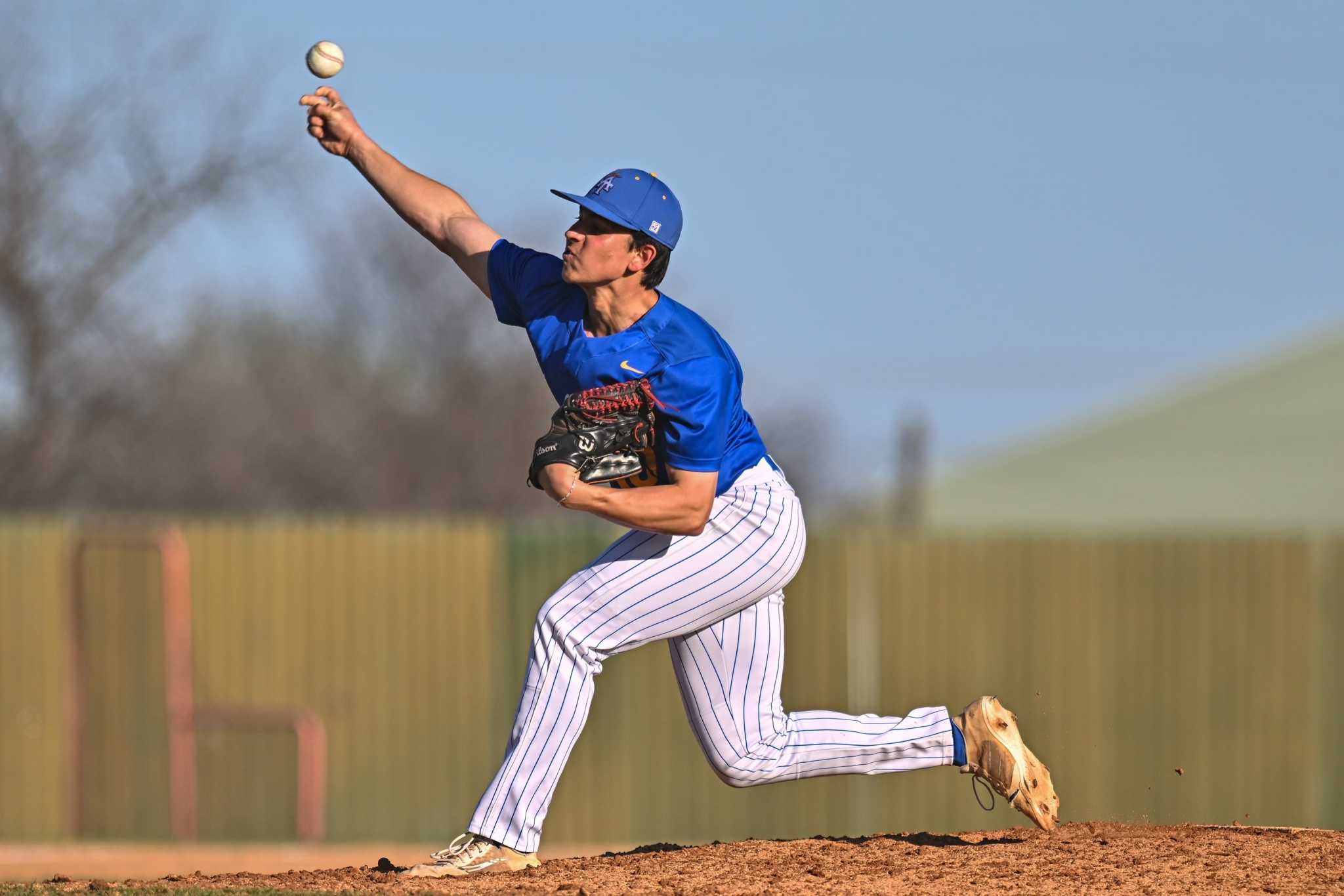UIL baseball playoffs: 8 Austin-area teams advance to area round