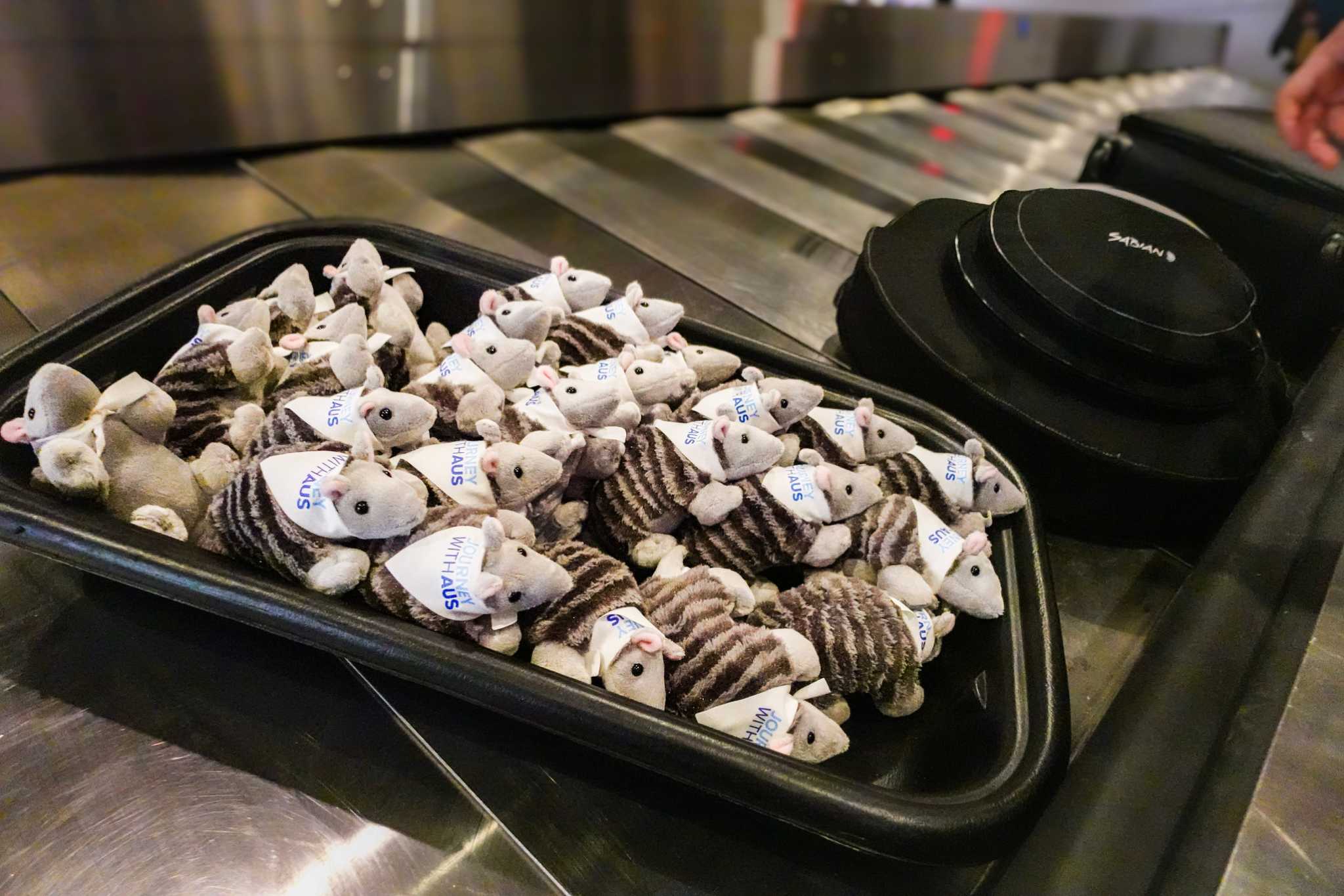 Austin airport gifts dozens of stuffed armadillos at baggage claim