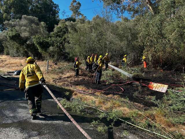 Oakland Zoo evacuated due to fire