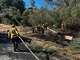 Oakland Zoo evacuated due to fire