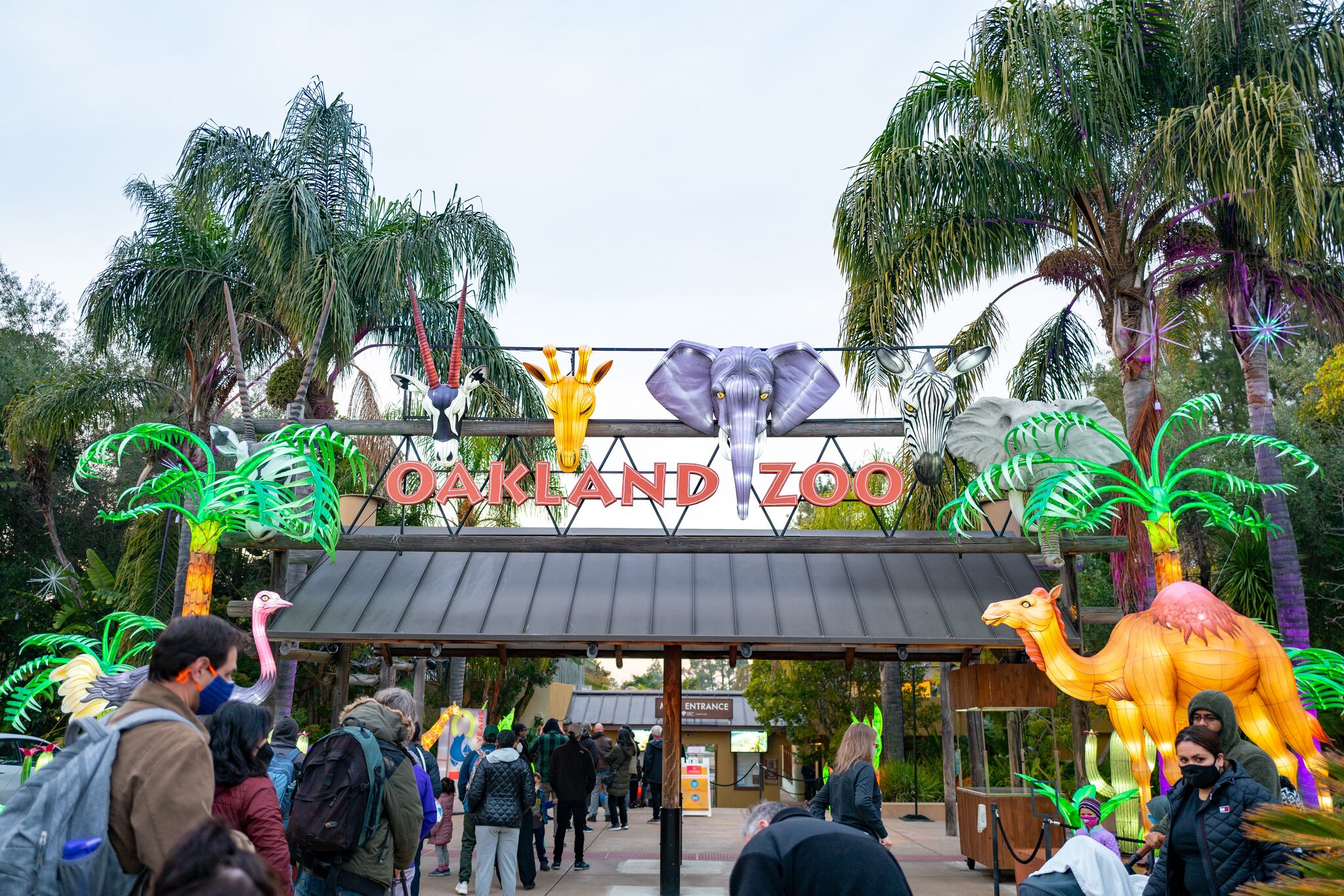 Oakland Zoo evacuated due to fire
