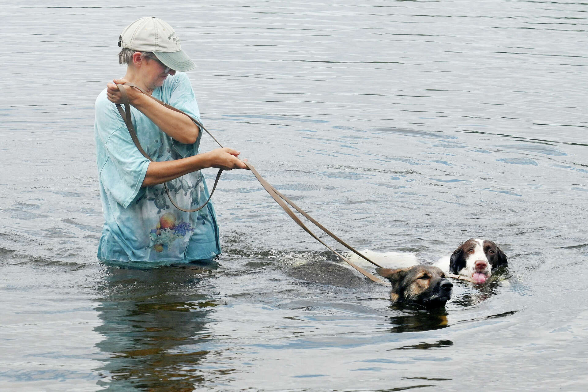 West Hartford considers expanding dog leash laws