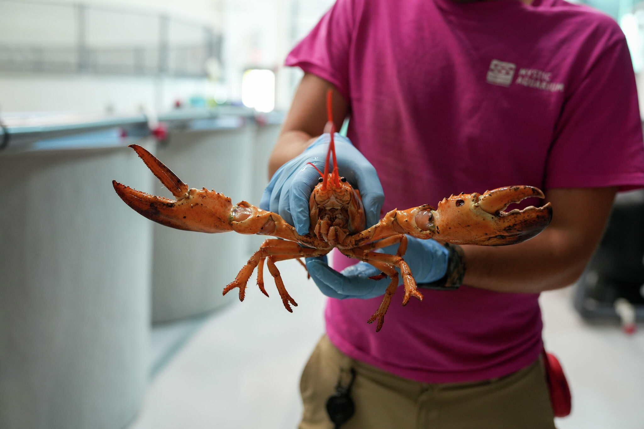 Photos: Jim Fixx Memorial Day 5K 2023 in Greenwich