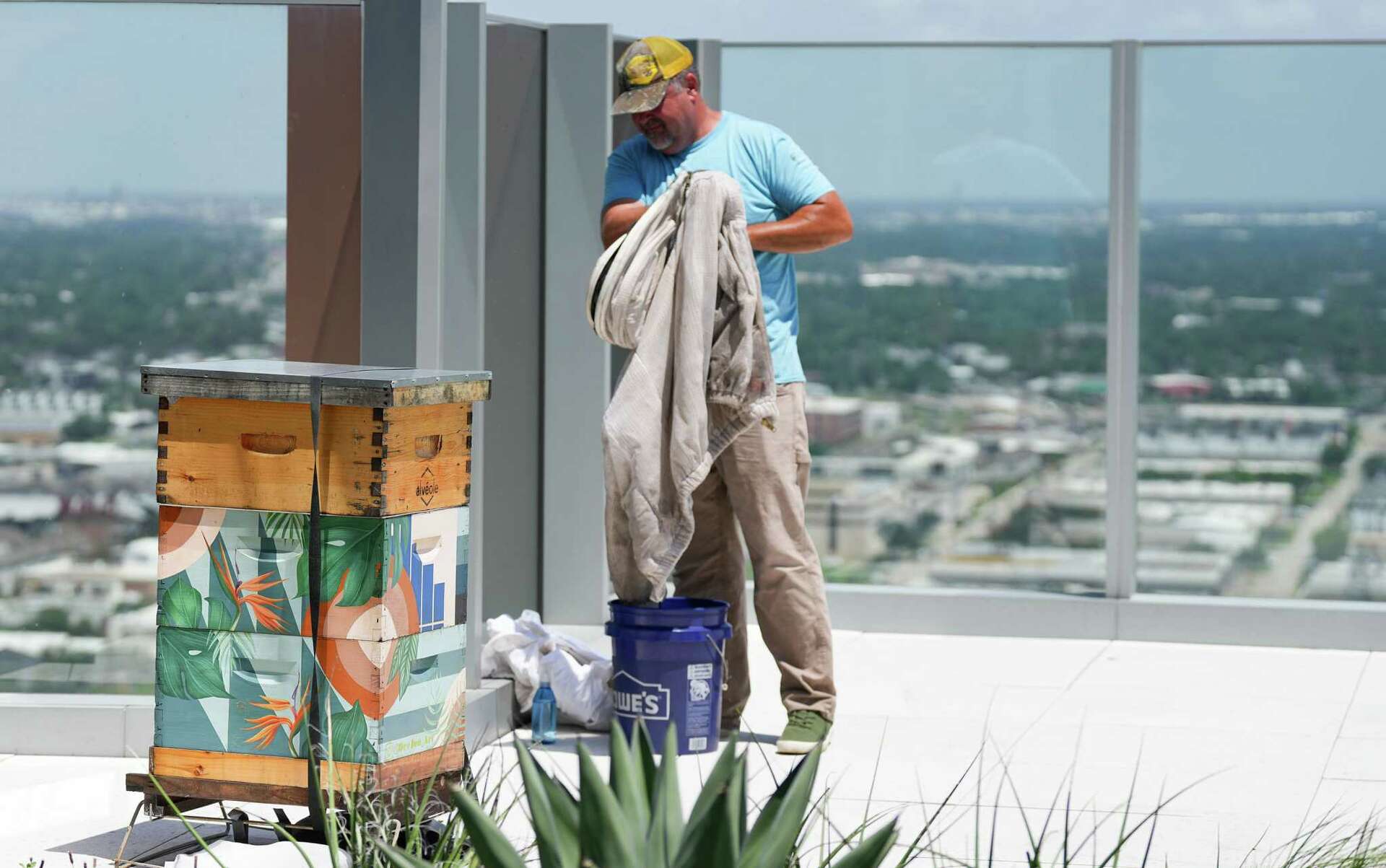 Bees vital to Houston's urban ecosystem, advocates, beekeepers say