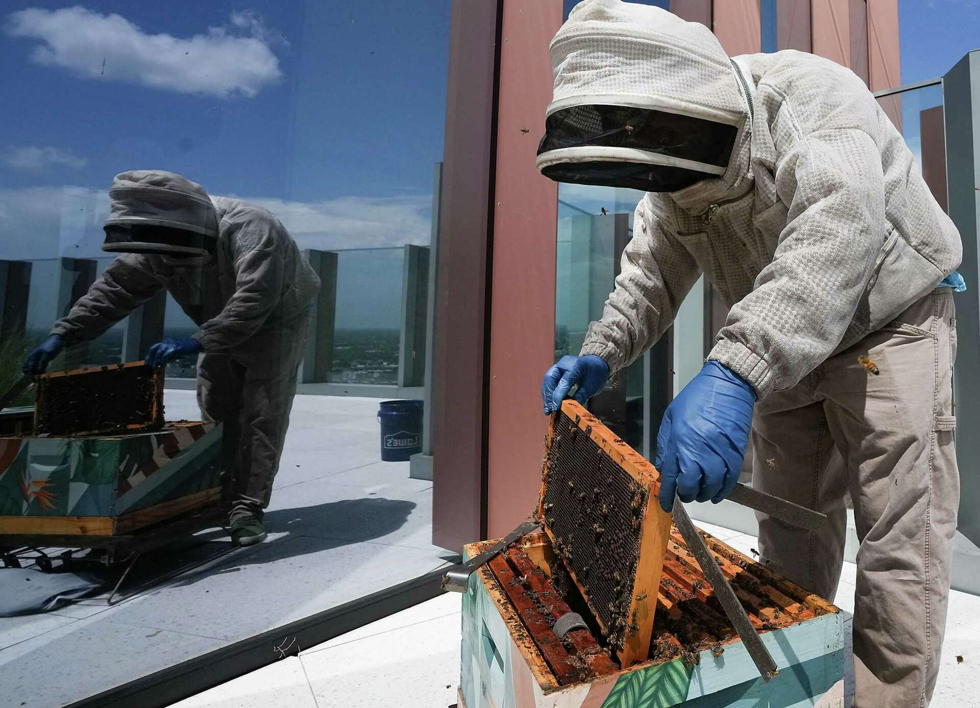 Bees vital to Houston's urban ecosystem, advocates, beekeepers say