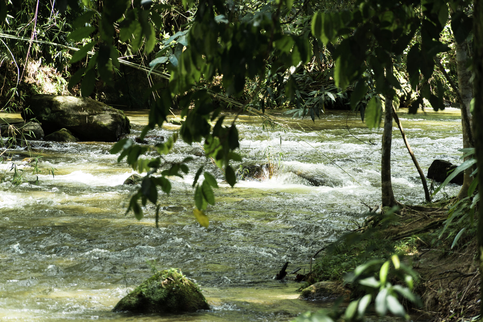 WhiteWater Midstream says rising Permian production underscores need ...