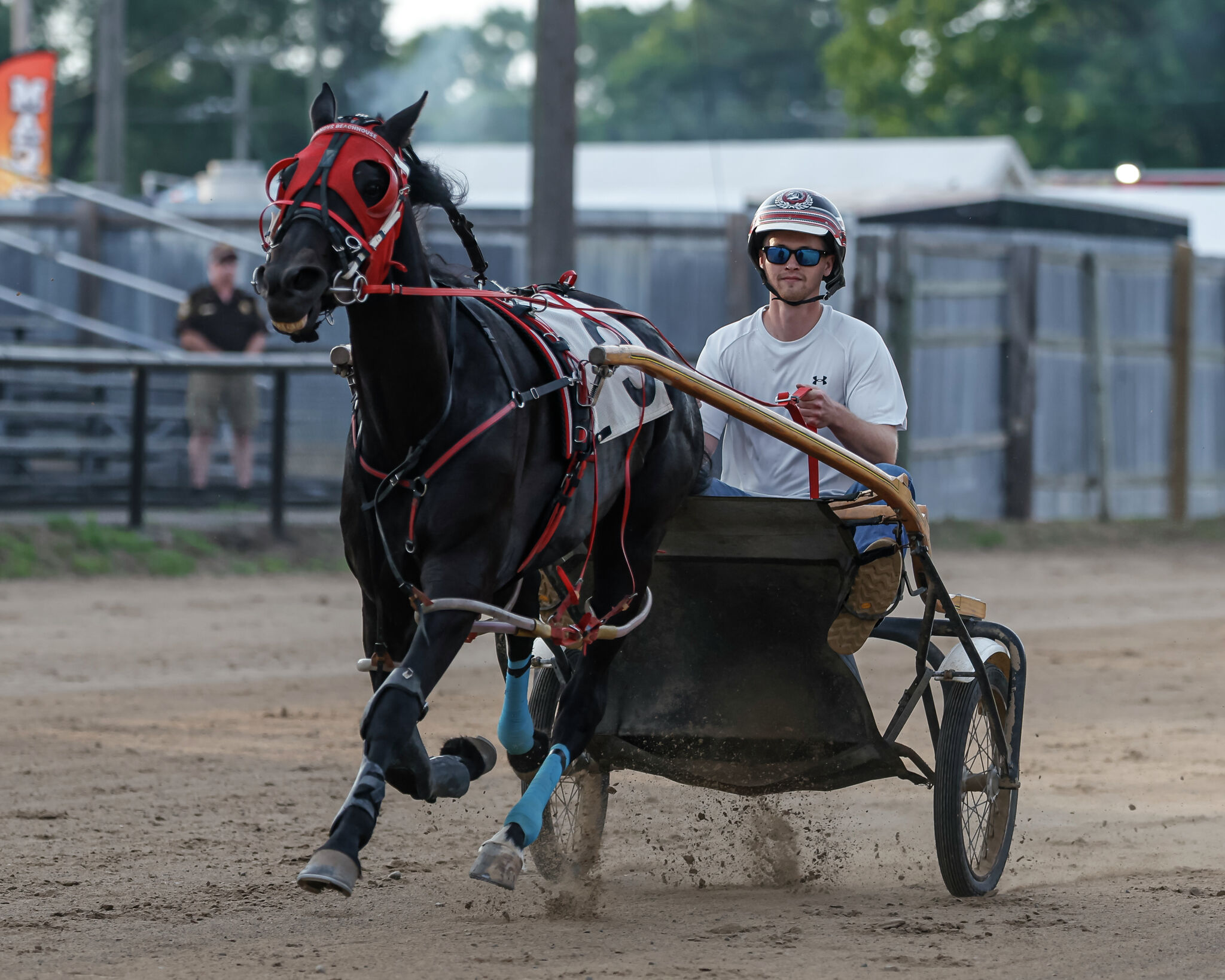 Ben Fath wins Mecosta County Michigan celebrity harness race